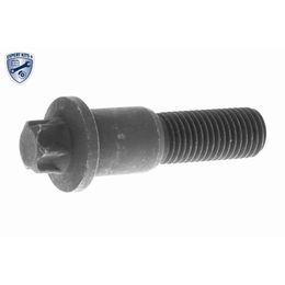 VAICO Steuerkettensatz v2010017bek2 unten f&uuml;r BMW MINI TOYOTA
