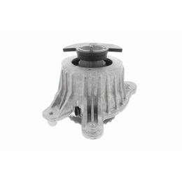 VAICO Lagerung, Motor Q+, Erstausr&uuml;sterqualit&auml;t v303193 vorne links f&uuml;r Mercedes