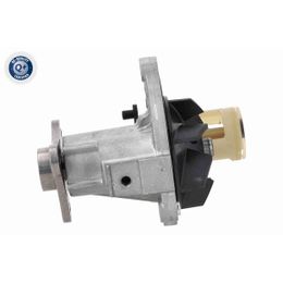VAICO Wasserpumpe v2050074 f&uuml;r BMW