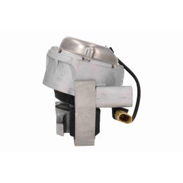 VAICO Lagerung, Motor v107434 vorne links f&uuml;r VAG