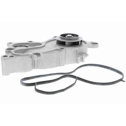 VAICO Wasserpumpe Original Qualit&auml;t v1050093 f&uuml;r Skoda VW SEAT Audi VAG