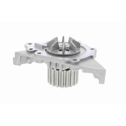 VAICO Wasserpumpe Original Qualit&auml;t v4250000 f&uuml;r Peugeot