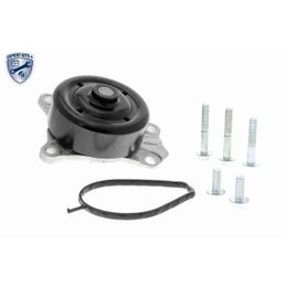 VAICO Wasserpumpe EXPERT KITS + v2250011 f&uuml;r TOYOTA Citro&euml;n DAIHATSU Subaru Peugeot Citro&euml;n/Peugeot LEXUS