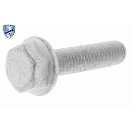 VAICO Wasserpumpe + Zahnriemensatz EXPERT KITS v1050110 f&uuml;r Ford VAG Skoda VW JEEP CUPRA SEAT Audi Chrysler DODGE