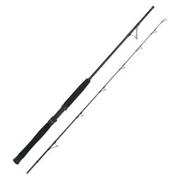 WFT Cool Sea Special Fjord 2pc. 2,10m 42lbs 50-420g Meeresrute