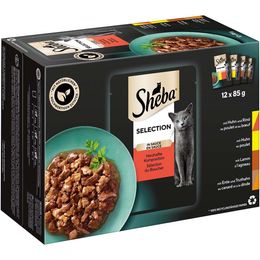 Sheba Selection in Sauce Herzhafte Komposition Katzen-Nassfutter ohne k&uuml;nstliche Farbstoffe 12x85g