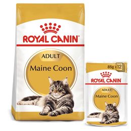 Royal Canin ADULT Maine Coon 10kg + Nassfutter in So&szlig;e 48x85g