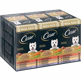CESAR Landragout 4 Variet&auml;ten Schale Hunde-Nassfutter ohne Zuckerzusatz 24x150g