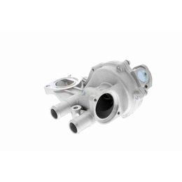 VAICO Wasserpumpe Original Qualit&auml;t v1050013 f&uuml;r Ford VAG VW CUPRA Skoda SEAT Audi MINI
