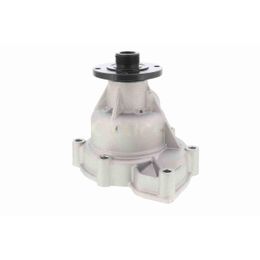 VAICO Wasserpumpe Original Qualit&auml;t v2050017 f&uuml;r BMW