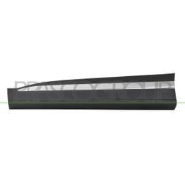 PRASCO Zier-/Schutzleiste, T&uuml;r mg5021414 vorne links
