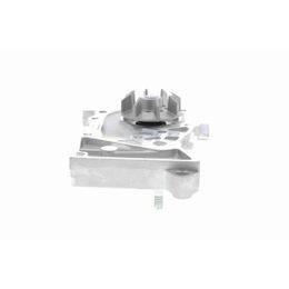 VAICO Wasserpumpe Original Qualit&auml;t v4650002 f&uuml;r NISSAN DACIA LADA RENAULT Peugeot