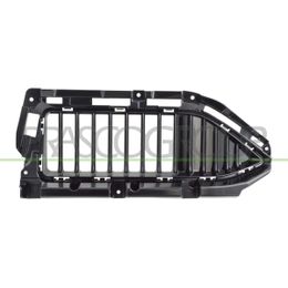 PRASCO L&uuml;ftungsgitter, Sto&szlig;f&auml;nger mg2002124 vorne links