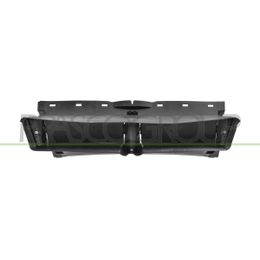 PRASCO Windabweiser ts6002415 vorne