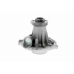 VAICO Wasserpumpe Original Qualit&auml;t v1050009 f&uuml;r VW VAG