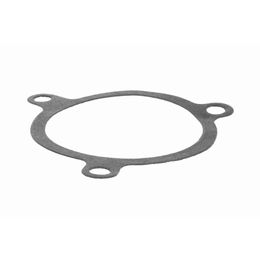 VAICO Wasserpumpe Original Qualit&auml;t v2050011 f&uuml;r BMW