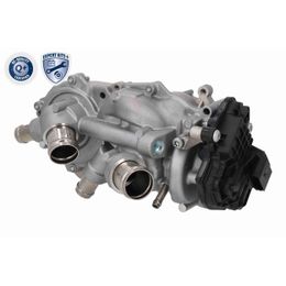 VAICO Wasserpumpe + Zahnriemensatz v1050114 f&uuml;r VW Skoda