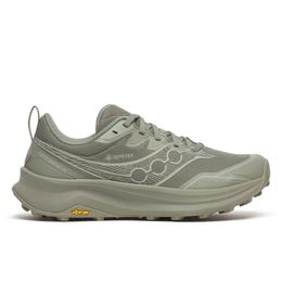 Saucony Peregrine 16 GTX Schuhe Damen grau 40.5