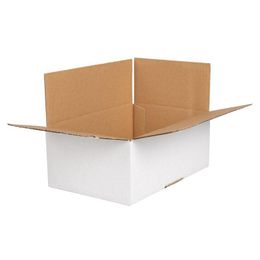 20 x BB-Automatikbodenkarton 250 x 175 x 100 mm (wei&szlig;)