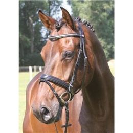 Hans Melzer Horse Equipment Hans Melzer Trense Kreuth schwarz/silber WB (Warmblut)