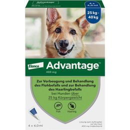 Advantage 400 L&ouml;sung Pipetten f.Hunde ab 25 kg 1X4 St