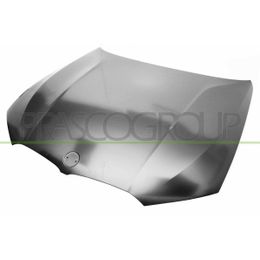 PRASCO Motorhaube bm0343110 f&uuml;r BMW