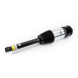 ARNOTT Luftfederbein as4329 Hinterachse f&uuml;r Tesla
