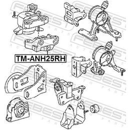 FEBEST Lagerung, Motor tmanh25rh vorne rechts f&uuml;r TOYOTA