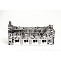 AMC Zylinderkopf 908965 f&uuml;r Vaughall