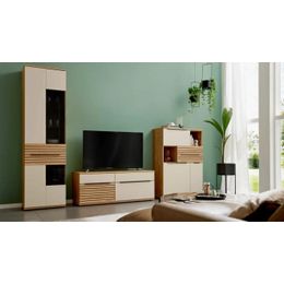 Stralsunder Interliving 2032, Wohnwand EB31501, Front sandbeige matt, Korpus: Risseiche Nachbildung, Applikation Lamellenoptik ca.315x215x45 cm