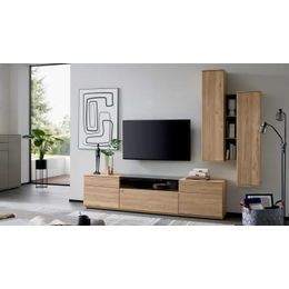 Stralsunder Interliving 2031 Wohnwand EB25701 Risseiche Nachbildung/grau matt ca.257x215x45