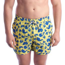 Herren Bedruckte Badeshorts HS24MSW06