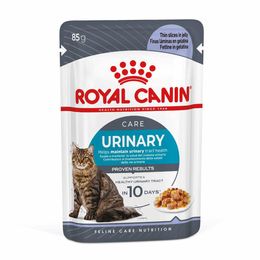 Royal Canin FCN Urinary Care Jelly Katzen-Nassfutter Harnwegsgesundheit 48x85g