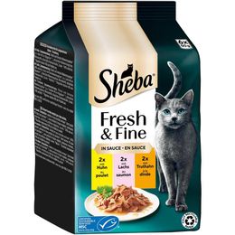 Sheba Fresh & Fine Sauce Huhn, Lachs & Truthahn Katzen-Nassfutter ohne k&uuml;nstliche Zusatzstoffe 6x50 g