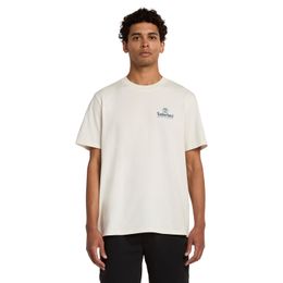 Timberland Herren T-Shirt "Illustrated Tree Logo Back Graphic", beige, Gr. XL, Obermaterial: 100% Baumwolle, Shirts, mit Baumwolle, Kurzarmdesign