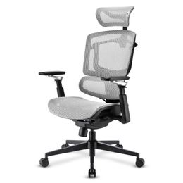 Sharkoon Stuhl OfficePal C50M schwarz-grau