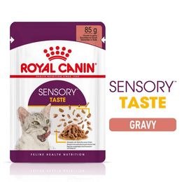 Royal Canin Sensory Taste Gravy Katzen-Nassfutter 48x85g