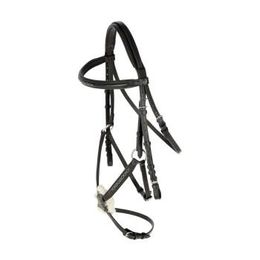 Covalliero Trense Cancun VB/ COB (Vollblut)
