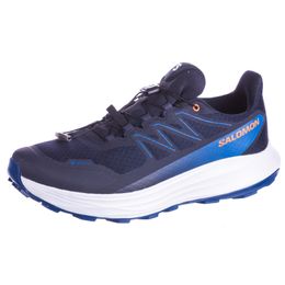 Salomon ALPHARIDE 2 GTX Laufschuhe Herren - Gr&ouml;&szlig;e 42 - blau