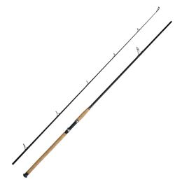 WFT Charisma Power II LTC 2,20m 180-620g Bootsrute