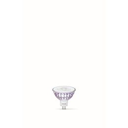 Philips LED-Leuchtmittel dimmbar Reflektor klar GU5.3 5 W 345 lm warmwei&szlig;