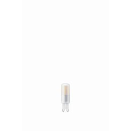Philips LED-Leuchtmittel Brenner matt G9 4,8 W 570 lm warmwei&szlig;
