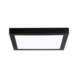 Paulmann LED-Panel 'Abia' 22 W 3200 lm neutralwei&szlig; 30 x 3 x 30 cm