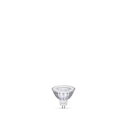 Philips LED-Leuchtmittel Reflektor klar GU5.3 4,4 W 390 lm neutralwei&szlig;