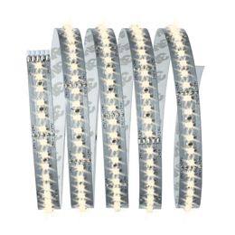 Paulmann Function MaxLED 1000 Basisset 1,5 m Warmwei&szlig; 20 W 230/24 V 60 VA Silber