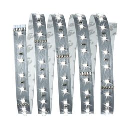 Paulmann Function MaxLED 500 Basisset 1,5m Tageslichtwei&szlig; 8,5 W 230/24 V 20 VA Silber