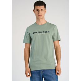 LINDBERGH Herren Kurzarmshirt "T-Shirt (Kurzarm) Relaxed Fit"sage gr&uuml;n, Gr. M, Obermaterial: 100% Baumwolle, Shirts