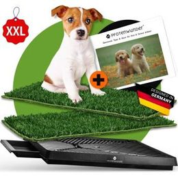 PfotenWunder&reg; Hundeklo XXL 76*51cm, 2 Easy-Wash-Rasen + 1 B&uuml;chlein, Hundetoilette f&uuml;r kleine & gro&szlig;e Hunde, festes Gras, Welpentoilette drinnen Welpenklo zuhause Gras Hundetoiletten Balkon Indoor WC Klo