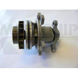 MOTAQUIP Wasserpumpe vwp870 f&uuml;r Opel Vaughall GM NISSAN RENAULT