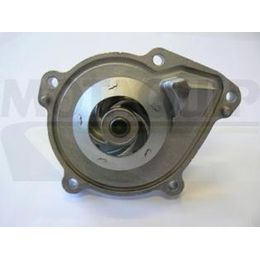 MOTAQUIP Wasserpumpe vwp923 f&uuml;r BMW MINI Peugeot